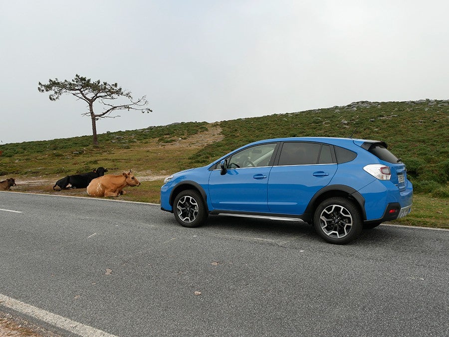 Prueba del Subaru XV 2.0 diésel 2016 | Autocasión