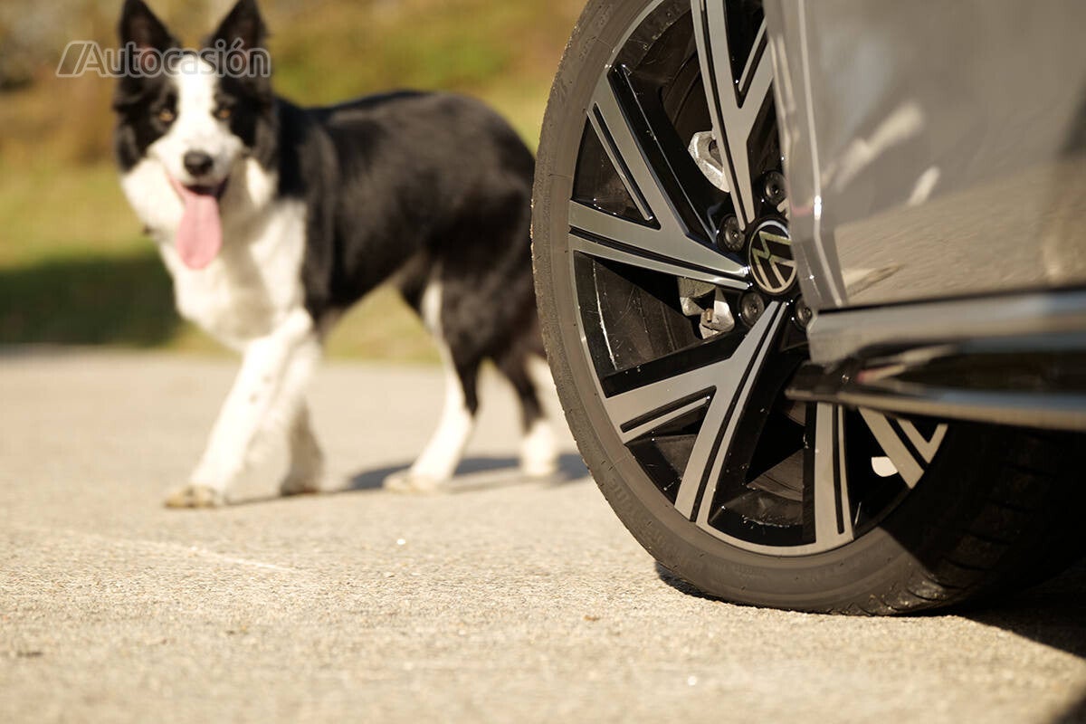VÍDEO| Prueba Volkswagen Golf Variant TDi 150 CV 2021: ¿aún compensa un ...
