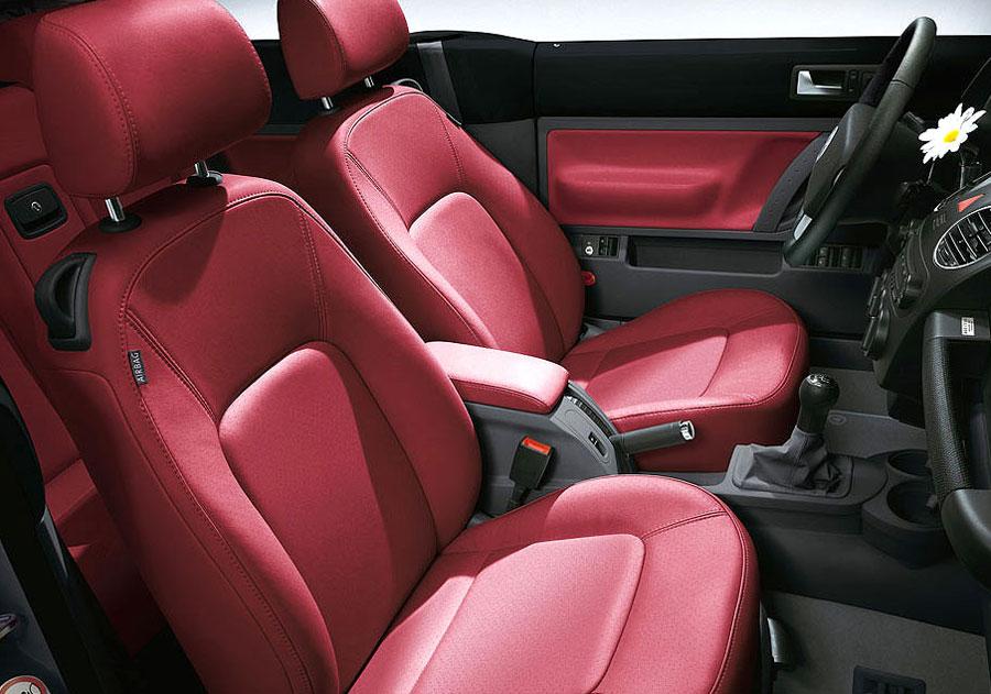 Beetle Red Edition | Autocasión